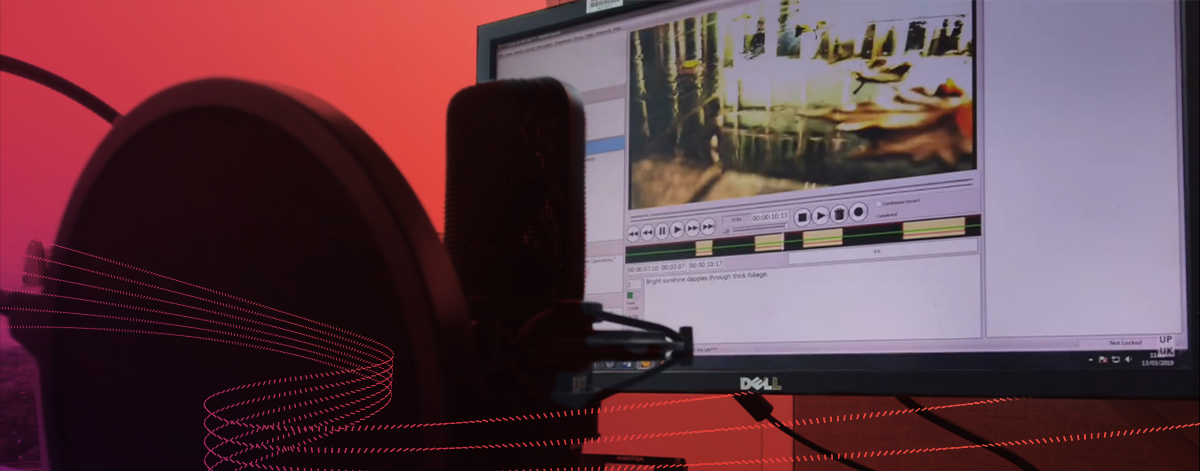 Audio Description - Red Bee Media